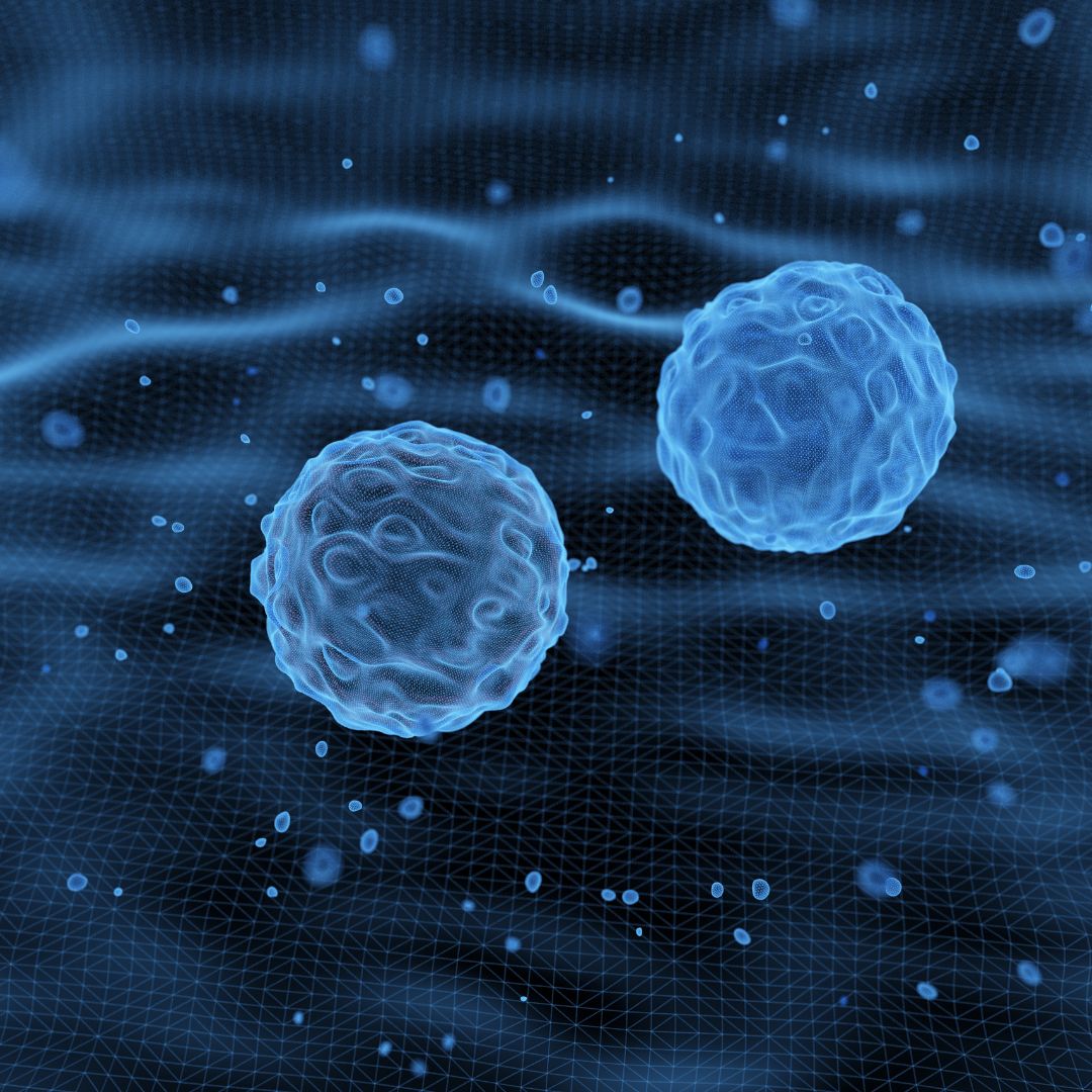 Stem Cell Treatment — What Kind Of Stem Cells Are There? - Stem Cell ...